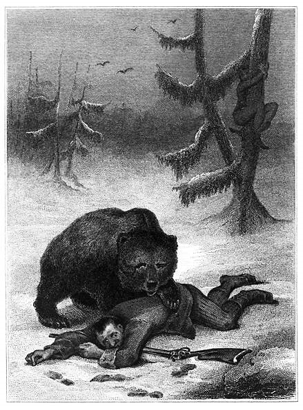 Oso cobarde — Nuestro hombre en La Inopia